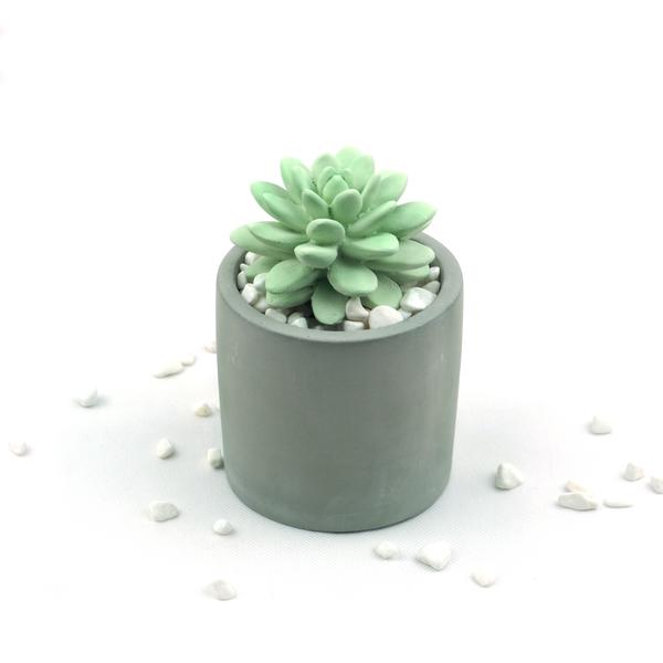 Succulent Gypsum Fragrance Diffusers Frozen Pear | The Purple Bow